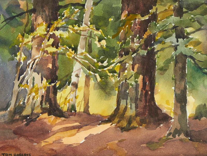 Thomas Keith Roberts - Morning Sun and Shadows in the Forest | Cowley ...