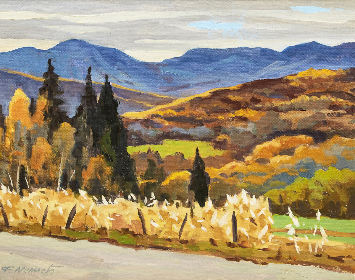 Frank Nemeth - Wild Lilies: Ile Perrot | Cowley Abbott