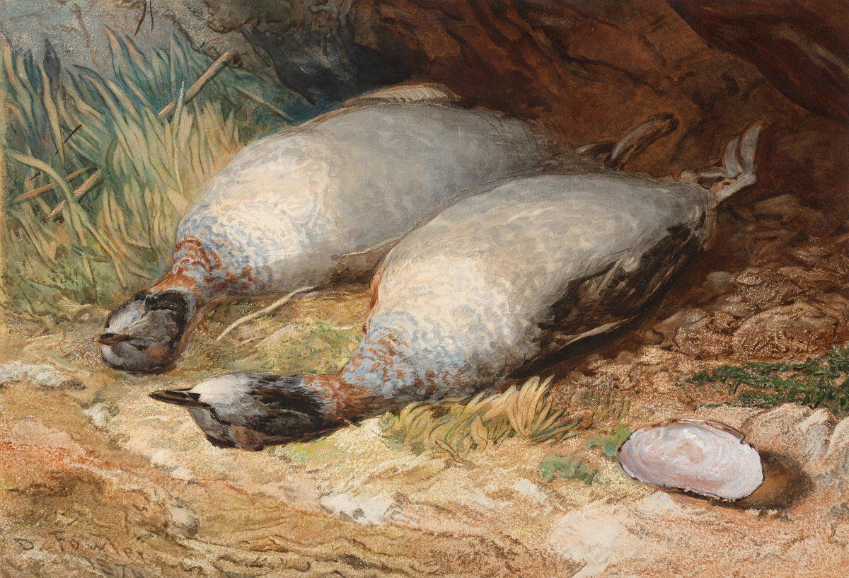 Daniel Fowler - Canadian Partridges | Cowley Abbott