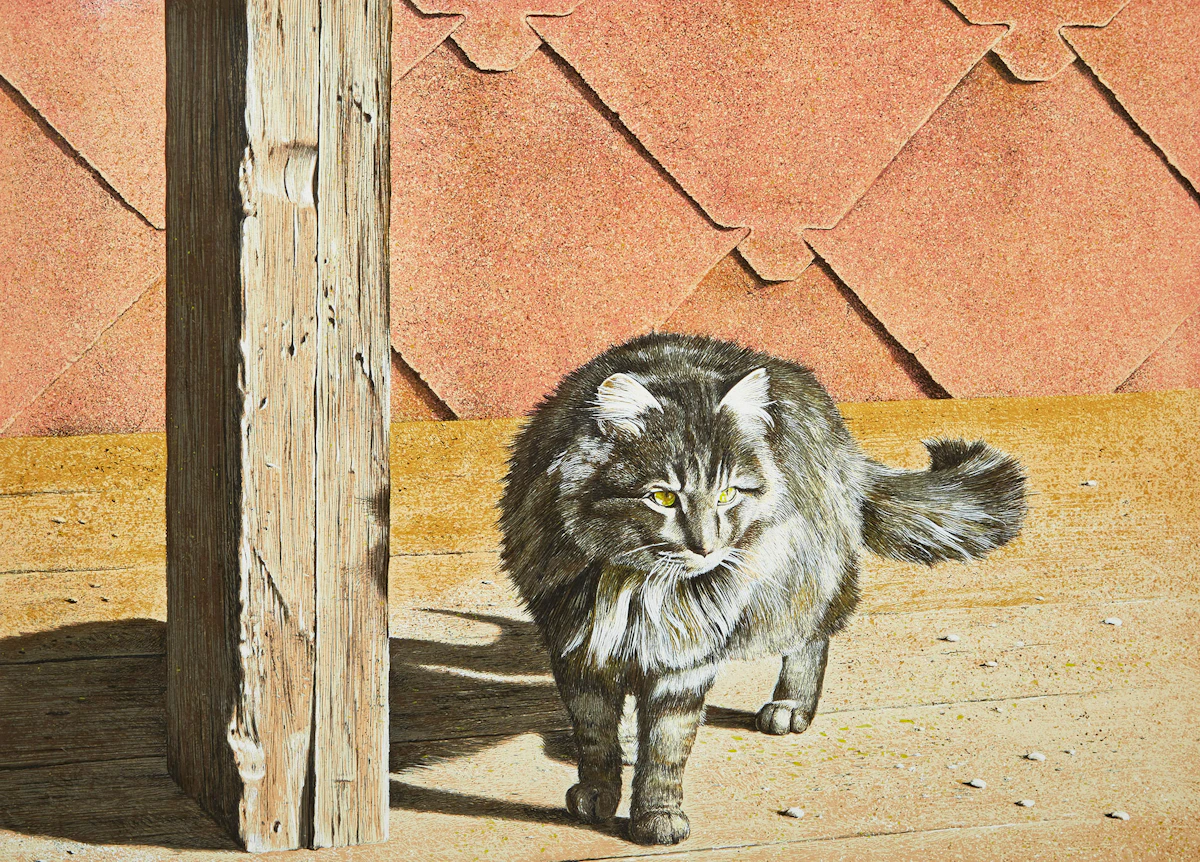 Kenneth Danby - Cat | Cowley Abbott