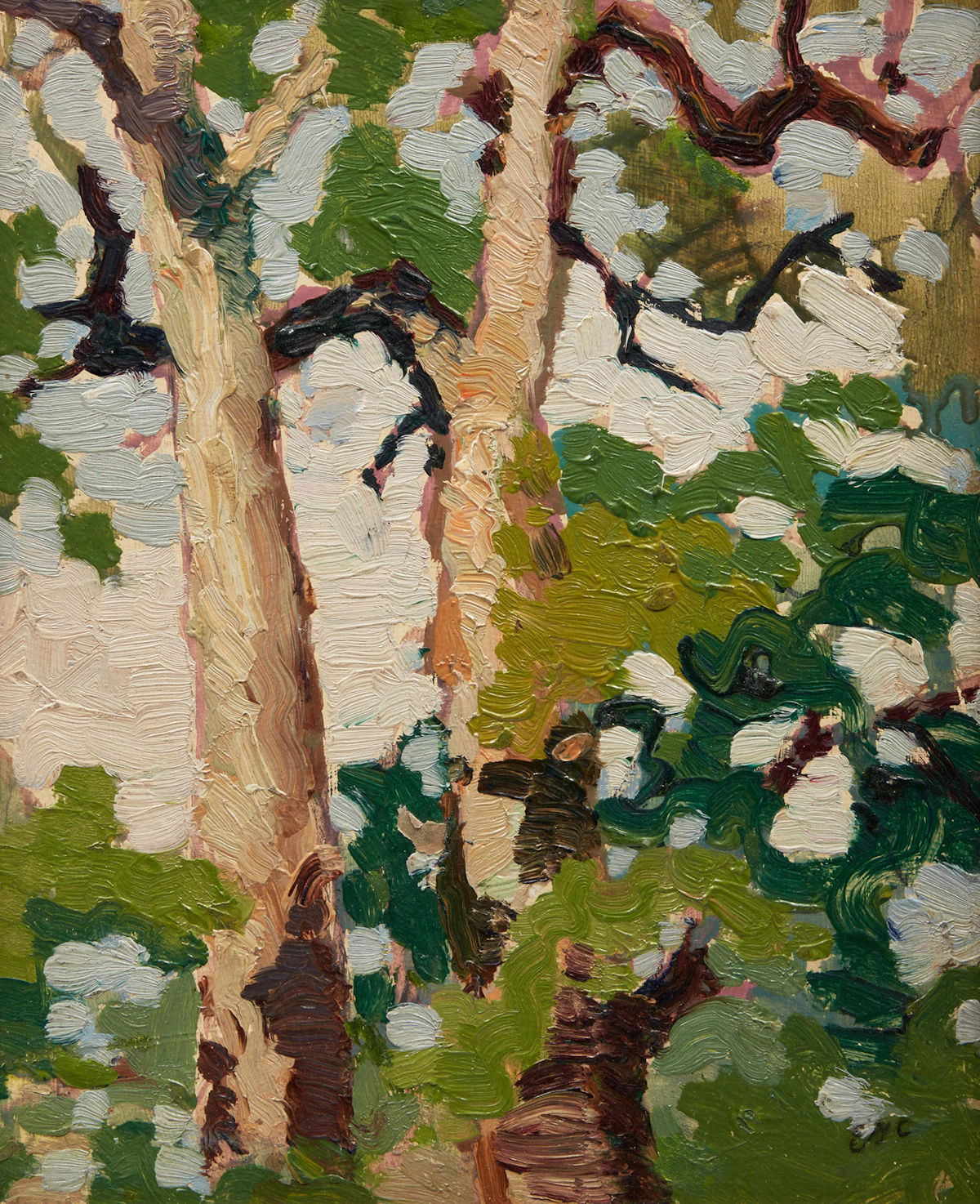 Edith Grace Coombs - Tree Study | Cowley Abbott