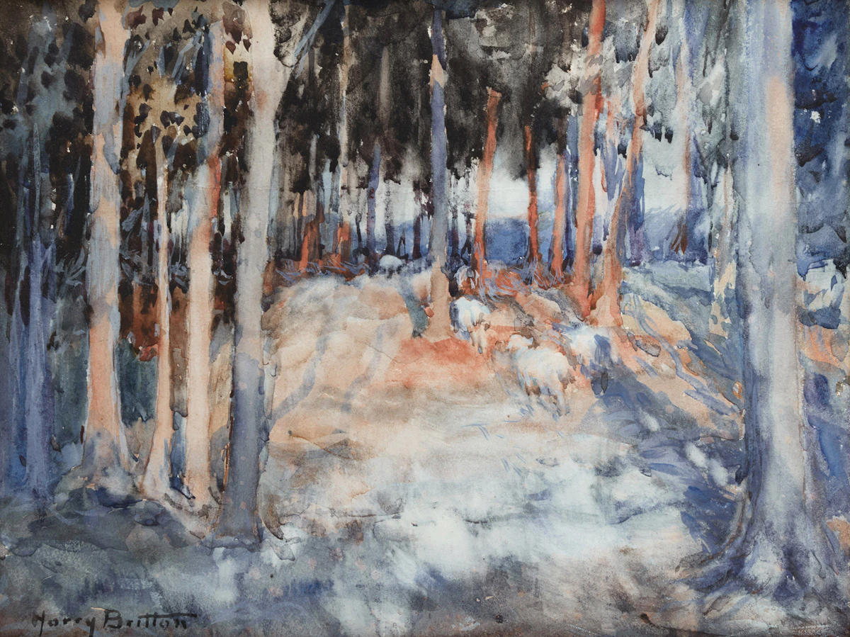 Harry Britton - Evening Glow | Cowley Abbott